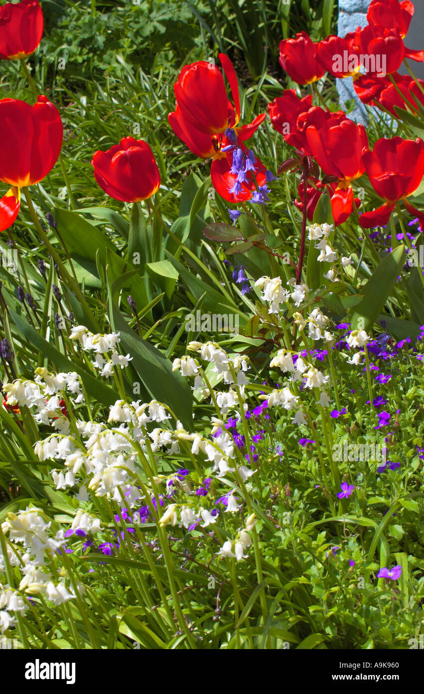 Spring Garden Display Stock Photo - Alamy