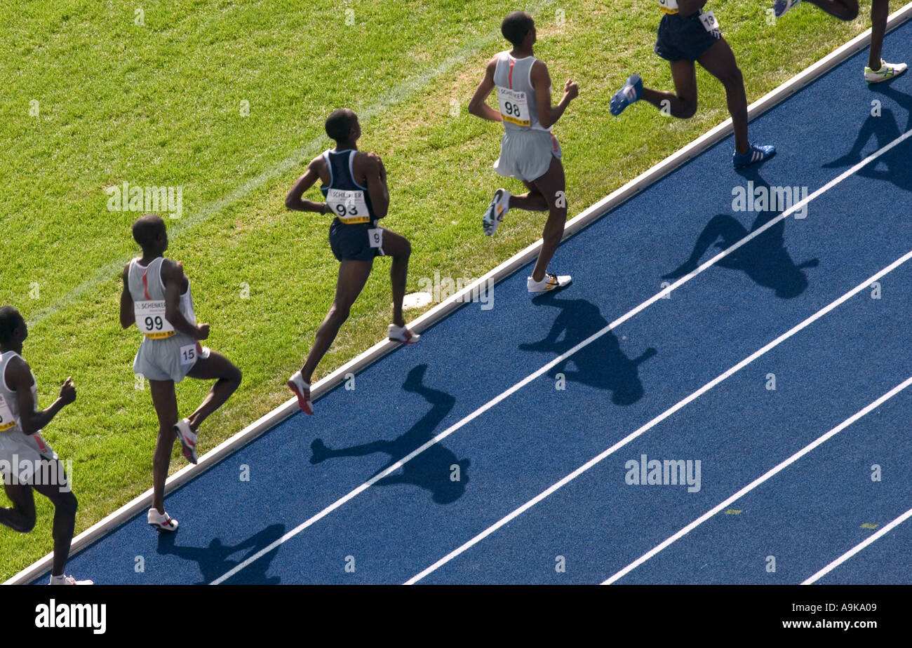 track and field competition on the blue lanes of the olympic stadium in ...
