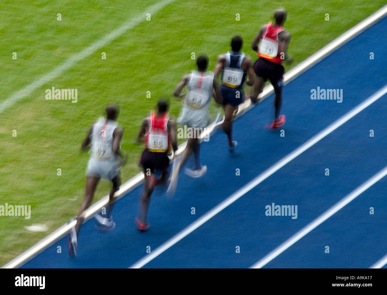 track and field competition on the blue lanes of the olympic stadium in ...