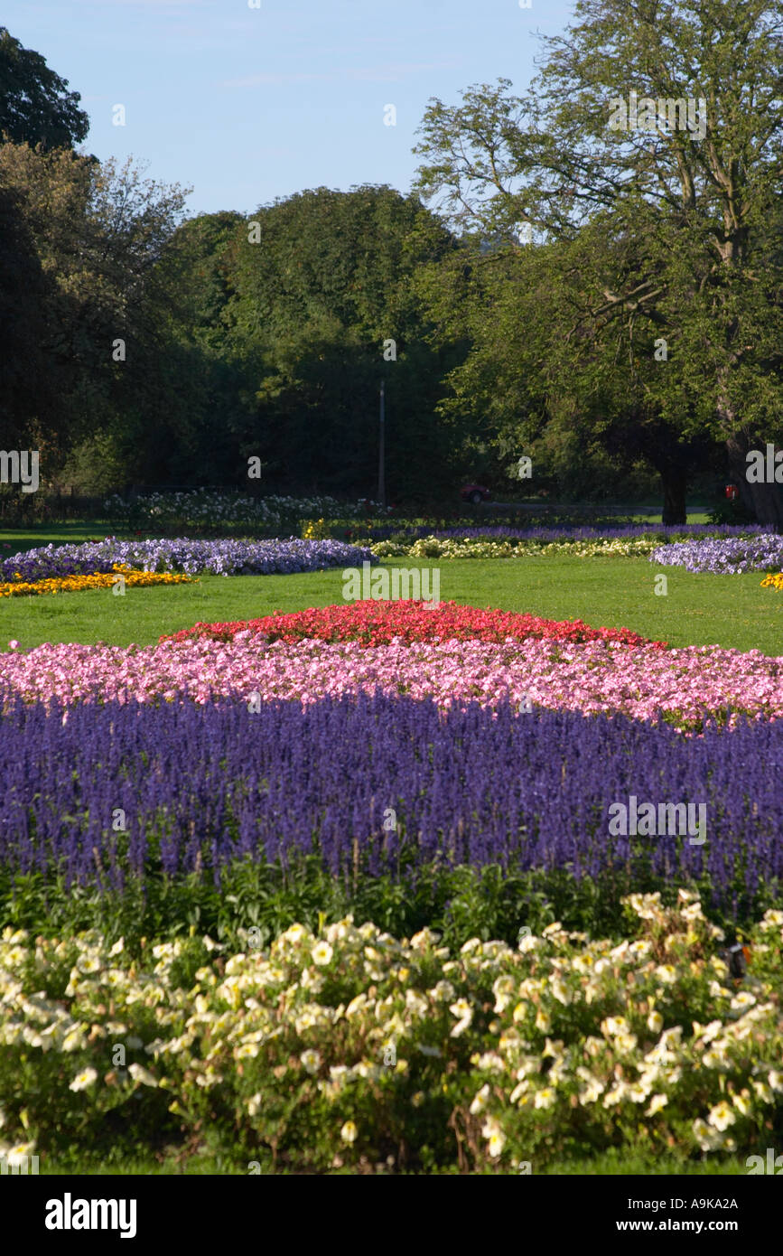 Flower gardens under the Kodak head office Hemel Hempstead ...