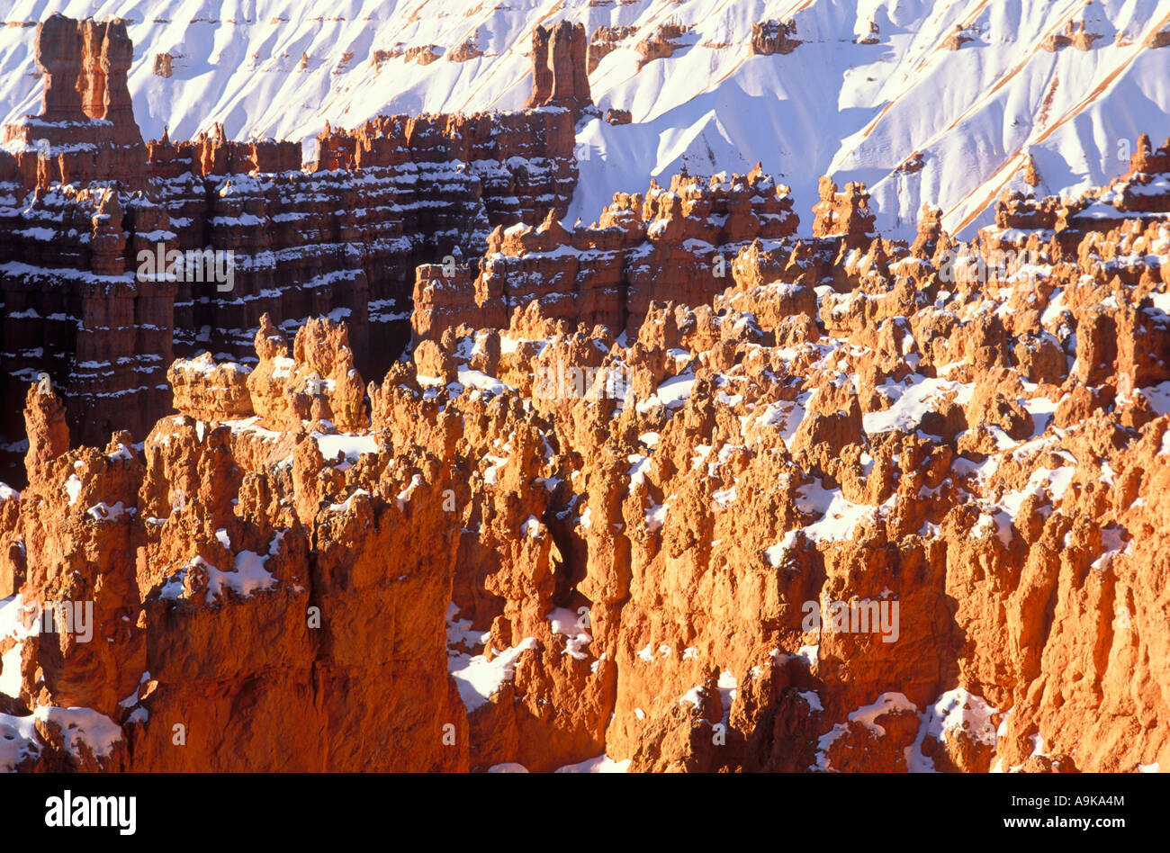 Morning light on the Silent City in winter Bryce Amphitheater Bryce ...