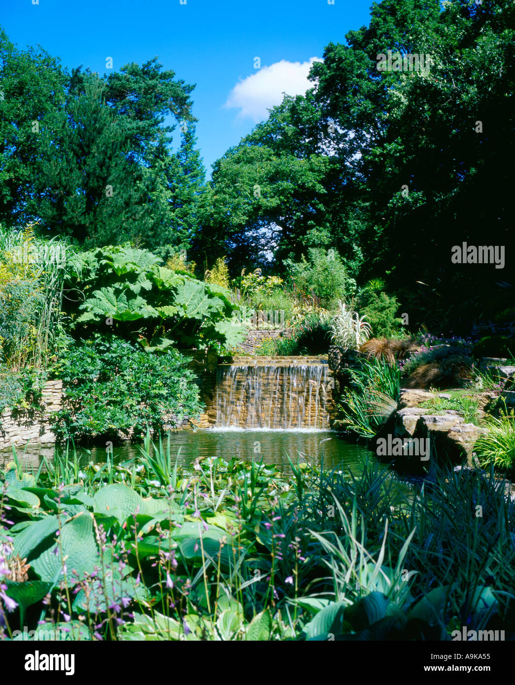 Exbury hi-res stock photography and images - Alamy