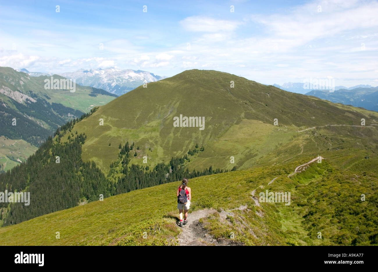 female wanderer in the mountains of swiss canton graubuenden Stock ...