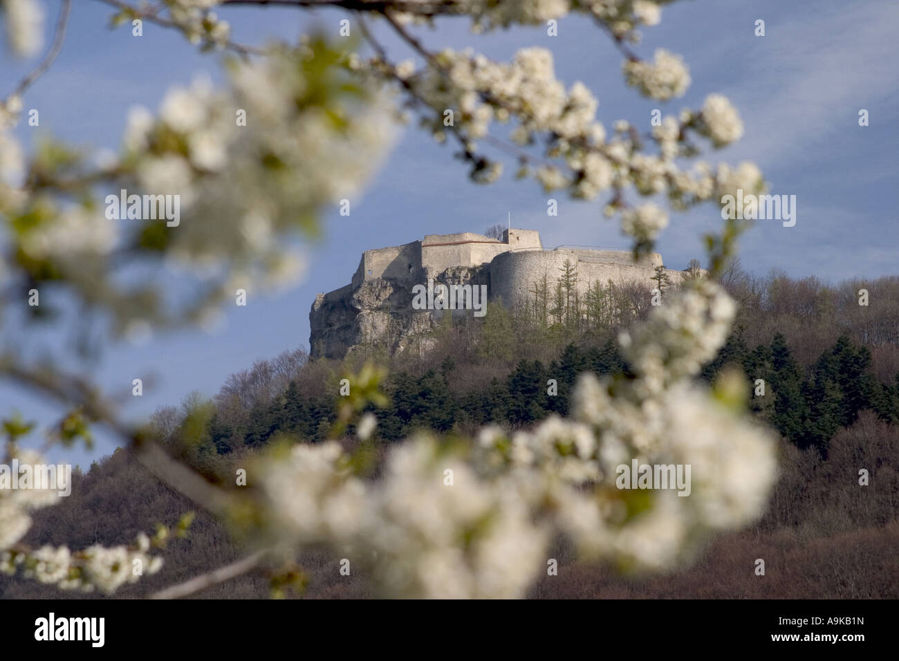ruin of Hohenneuffen, Germany, Baden-Wuerttemberg, Neuffen Stock Photo ...