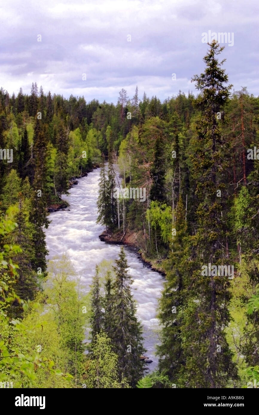 Rivers and boreal forest hi-res stock photography and images - Alamy