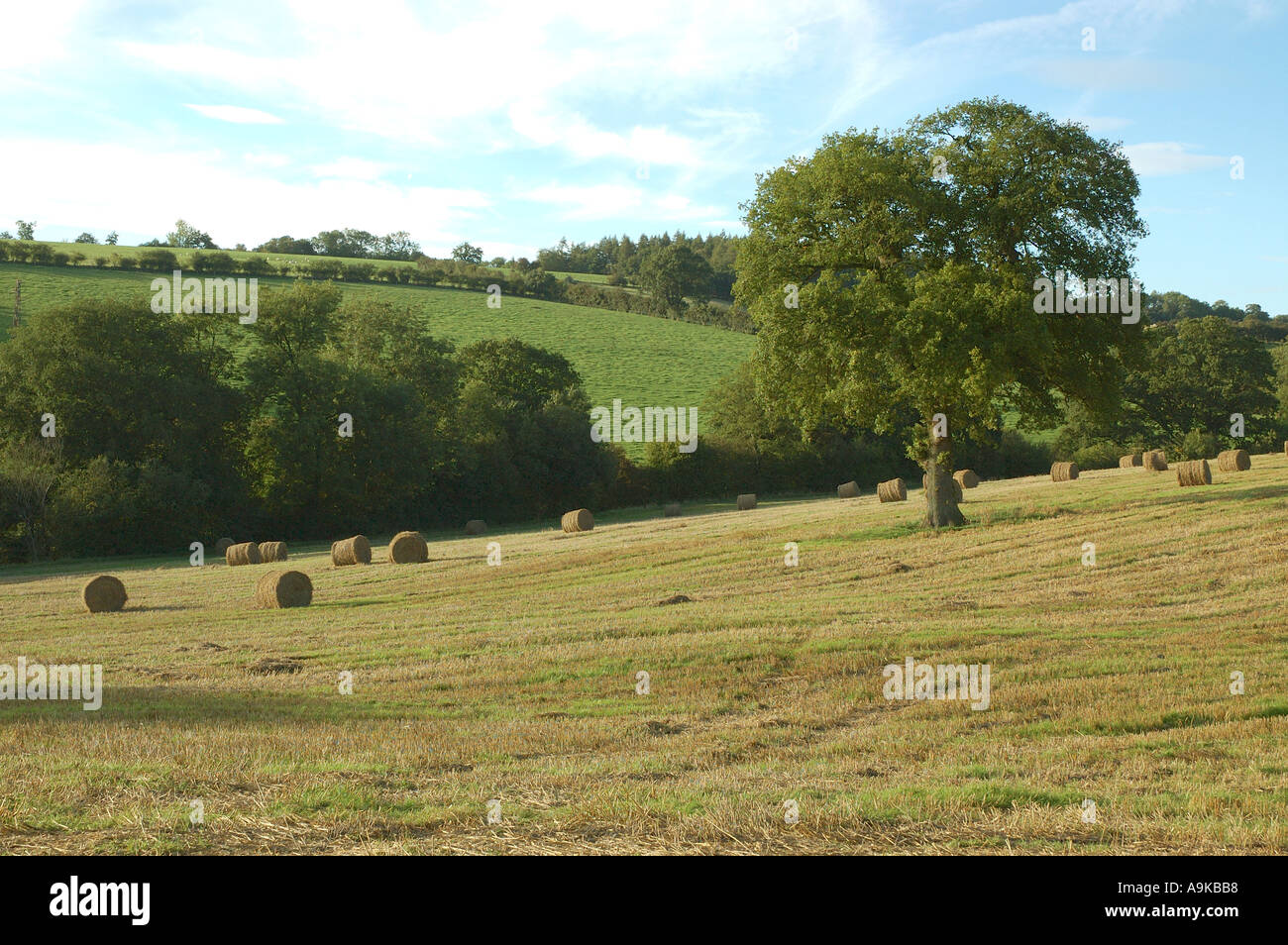 Typical british countryside in the late summer hi-res stock photography ...