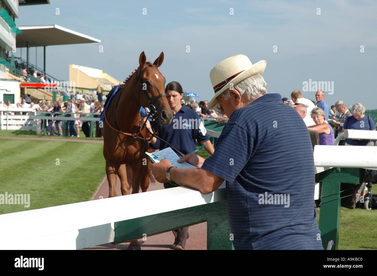 Bath racecourse hi-res stock photography and images - Alamy