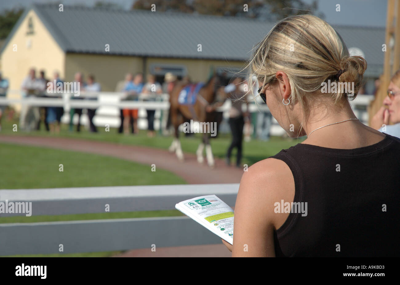 Horse parade ring hi-res stock photography and images - Alamy