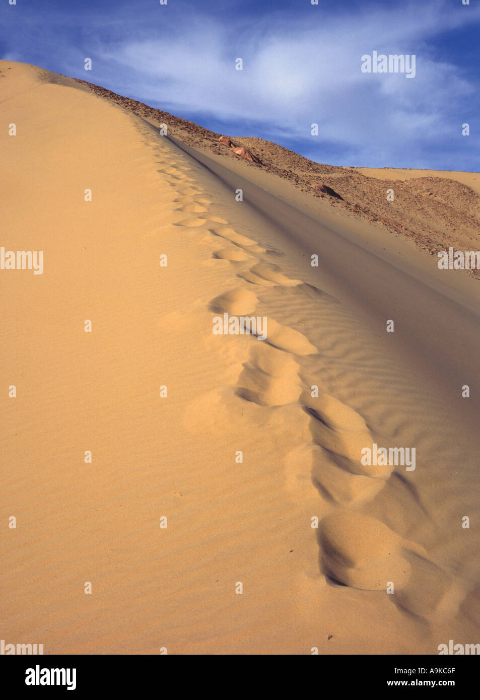 Egypt Aswan sand dune with footprints climbing up the ridge Stock Photo ...