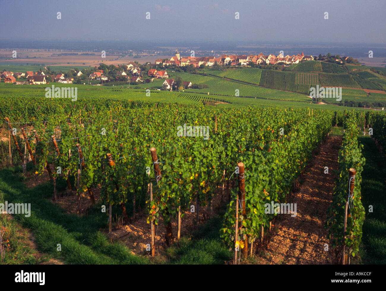 Haut rhin 68 hi-res stock photography and images - Alamy