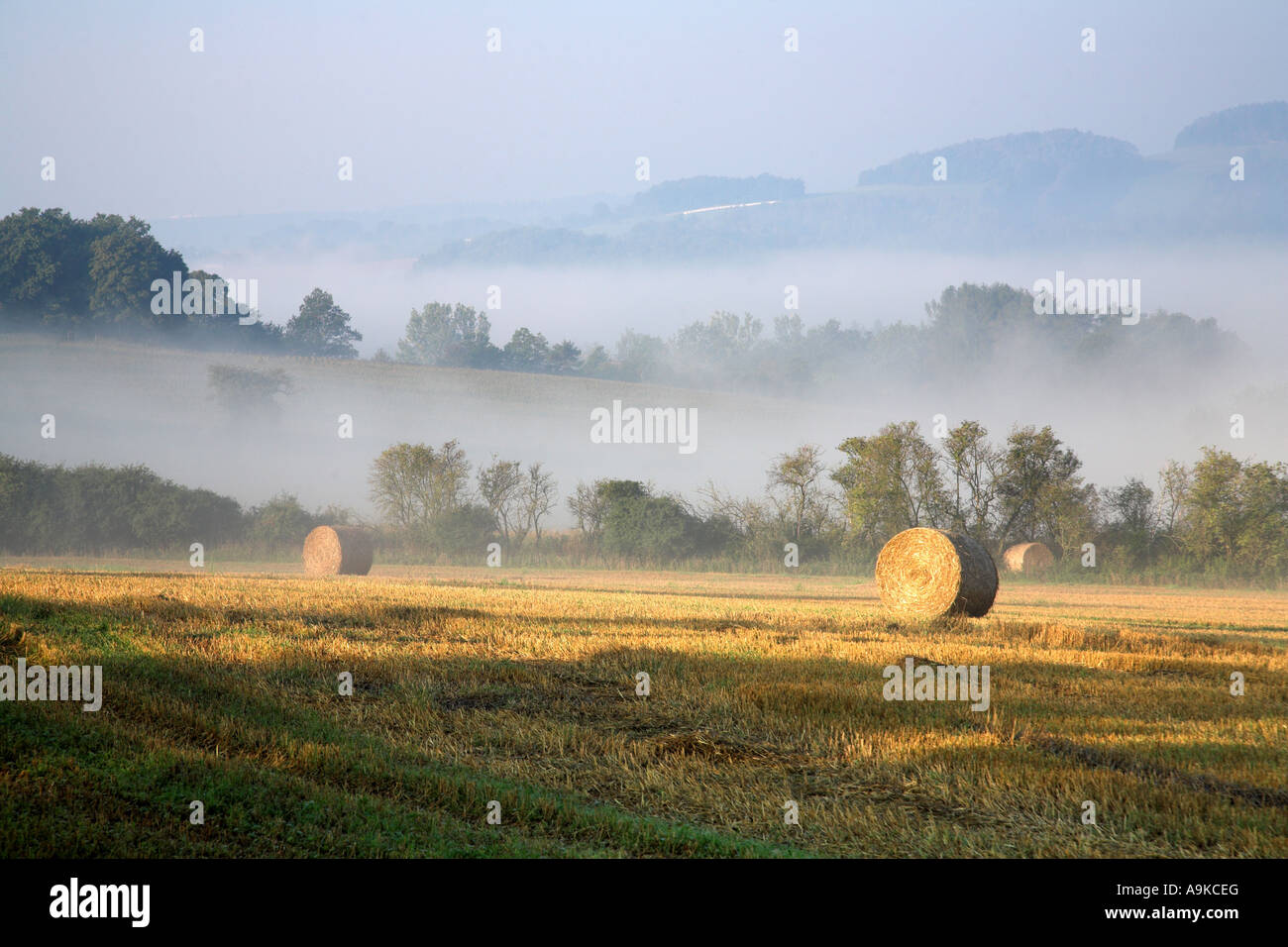 stubble fields in the morning fog, Germany, Saxony, Vogtlaendische ...
