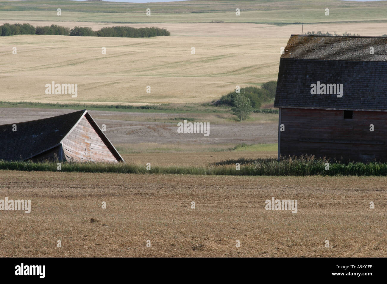 Falling down barns hi-res stock photography and images - Alamy