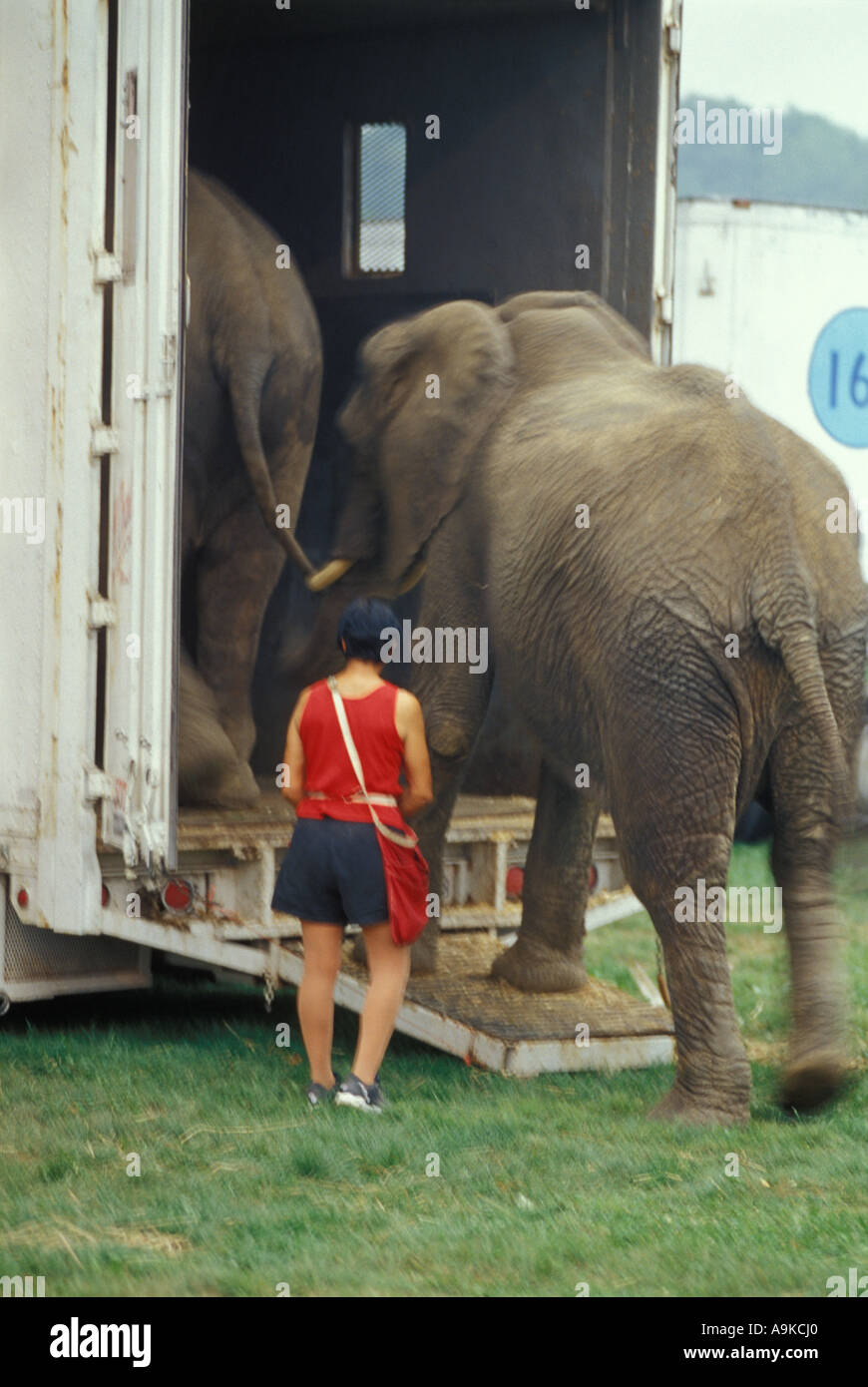 Bentley Bros. Brothers circus woman female asian elephant handler ...