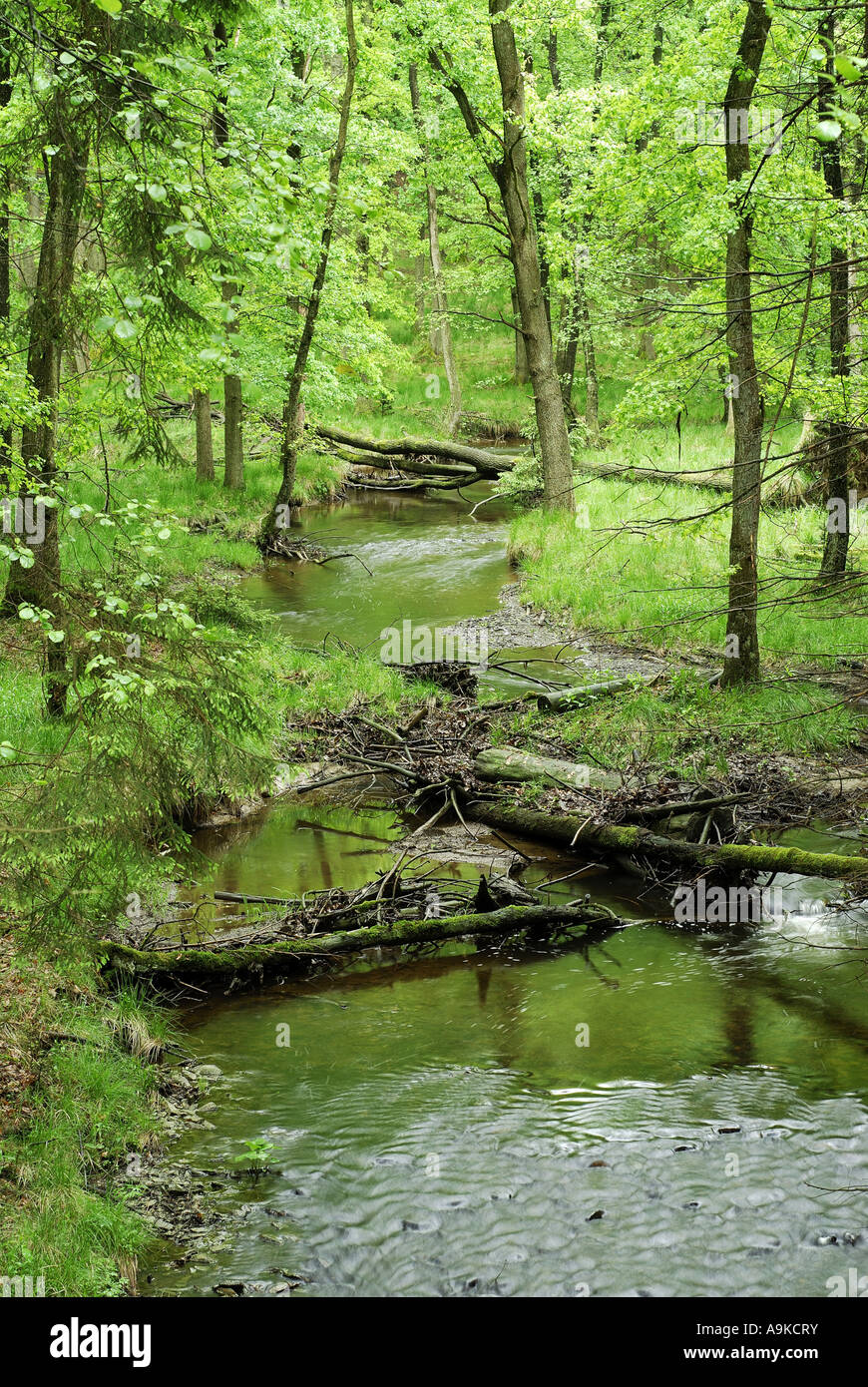Spring inshore hi-res stock photography and images - Alamy