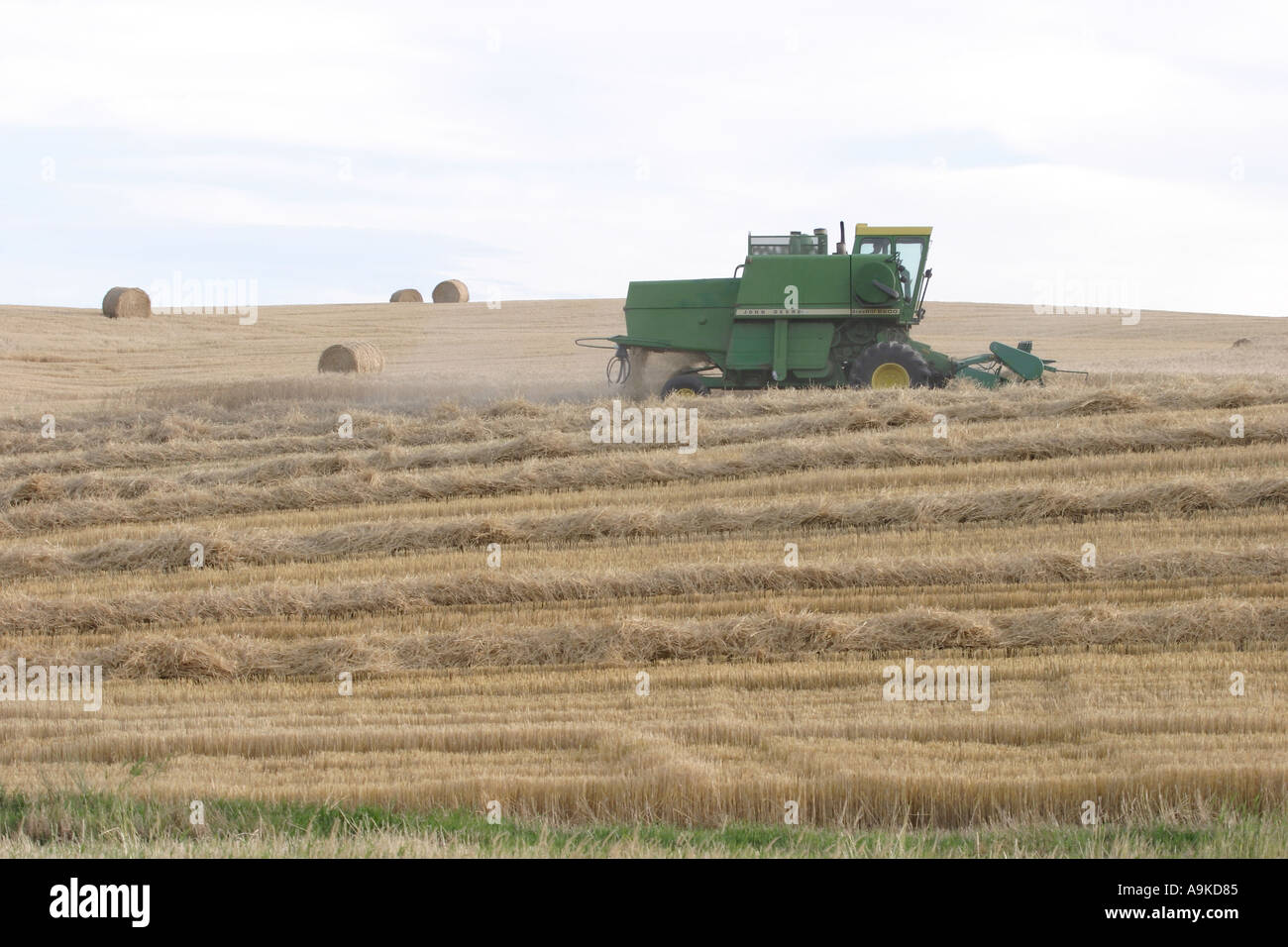 Wheat combine saskatchewan hi-res stock photography and images - Alamy