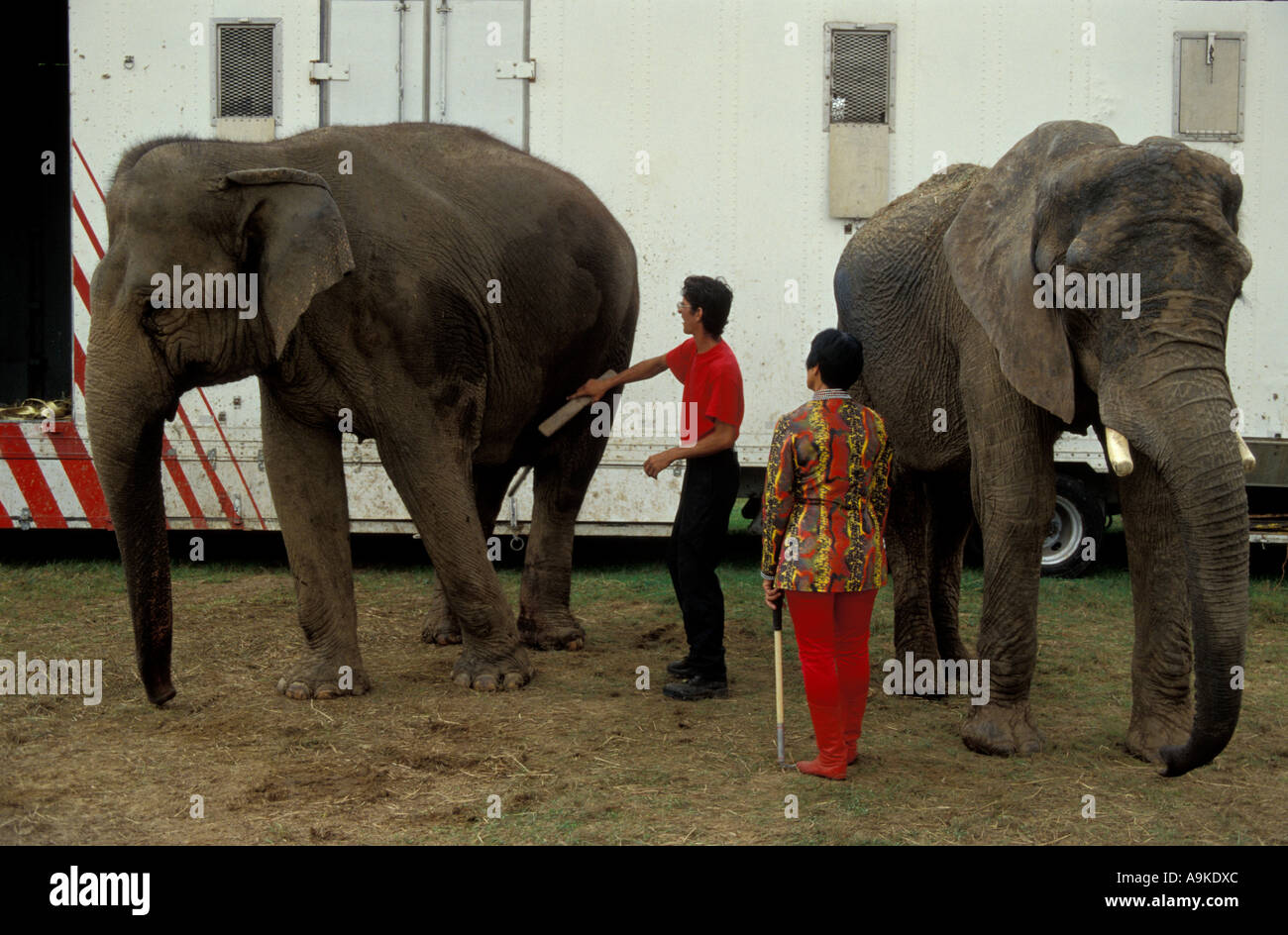 Bentley Bros. Brothers circus owner and roustabout prepare 2 two asian ...