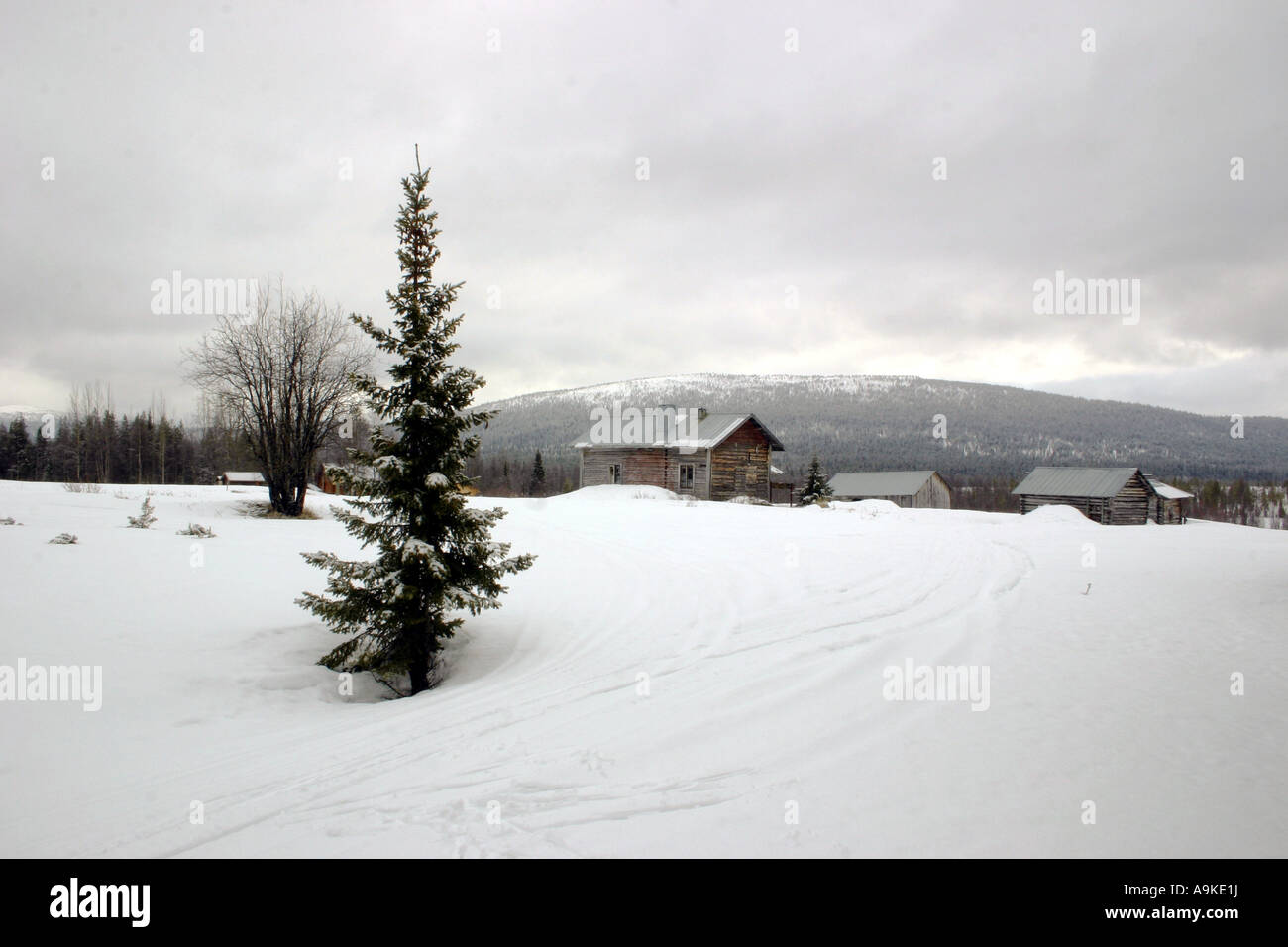 Muusan maja, Finland, Kittilae Stock Photo - Alamy
