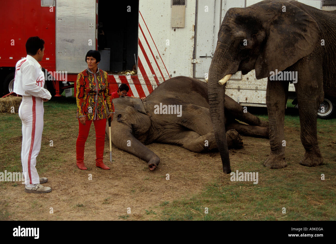 Bentley Bros. Brothers circus owner performer 2 two asian elephant ...