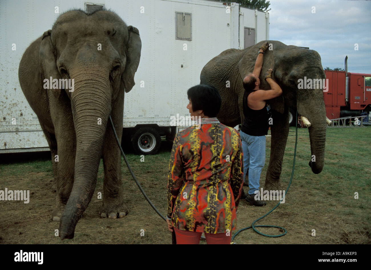 Bentley Bros. Brothers circus owner and roustabout prepare 2 two asian ...