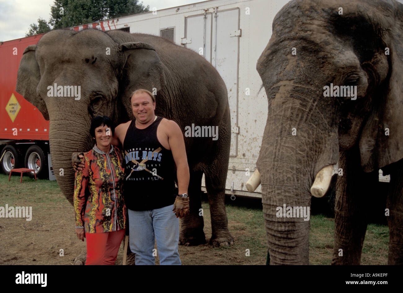 Elephants brothers hi-res stock photography and images - Alamy