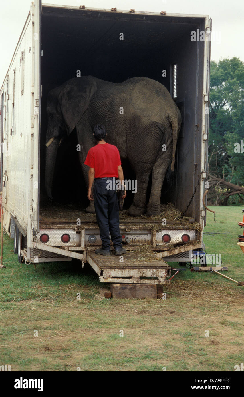 Bentley Bros. Brothers circus asian elephant enters truck roustabout ...