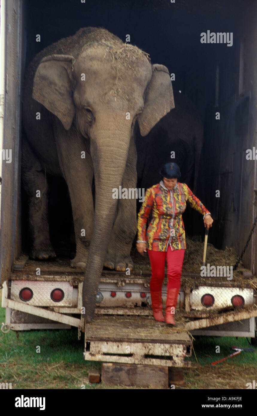 Bentley Bros. Brothers circus asian elephant enters truck owner ...