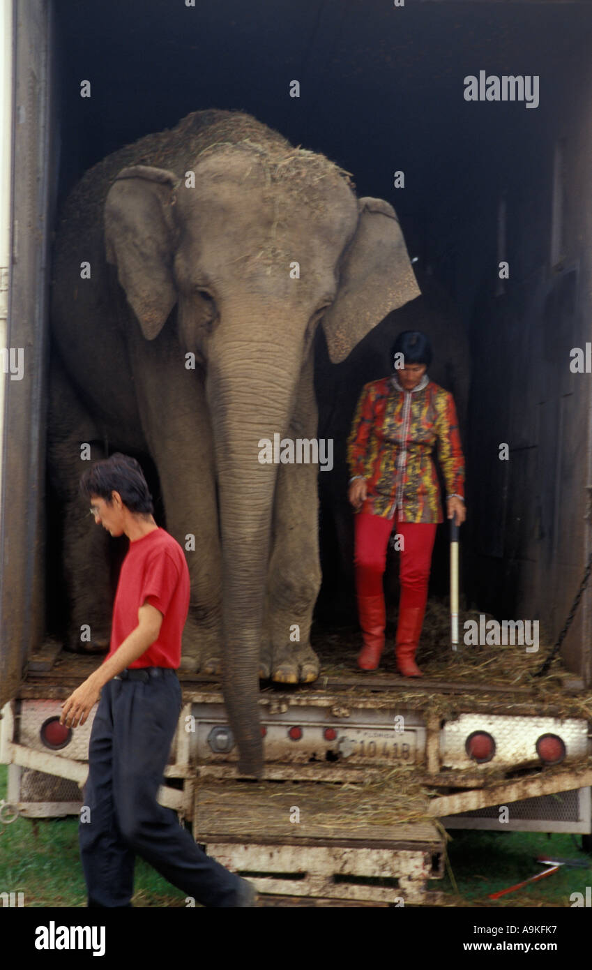 Bentley Bros. Brothers circus asian elephant enters truck roustabout ...