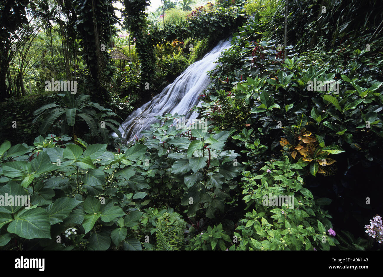 Shaw waterfall hi-res stock photography and images - Alamy