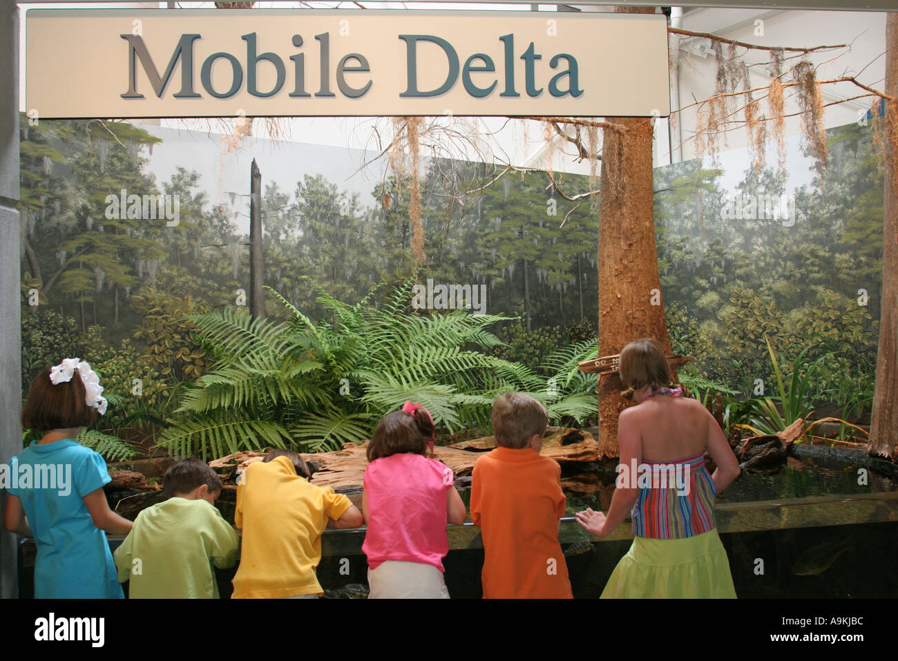 Alabama Dauphin Island,The Estuarium,public aquarium,estuary exhibit ...