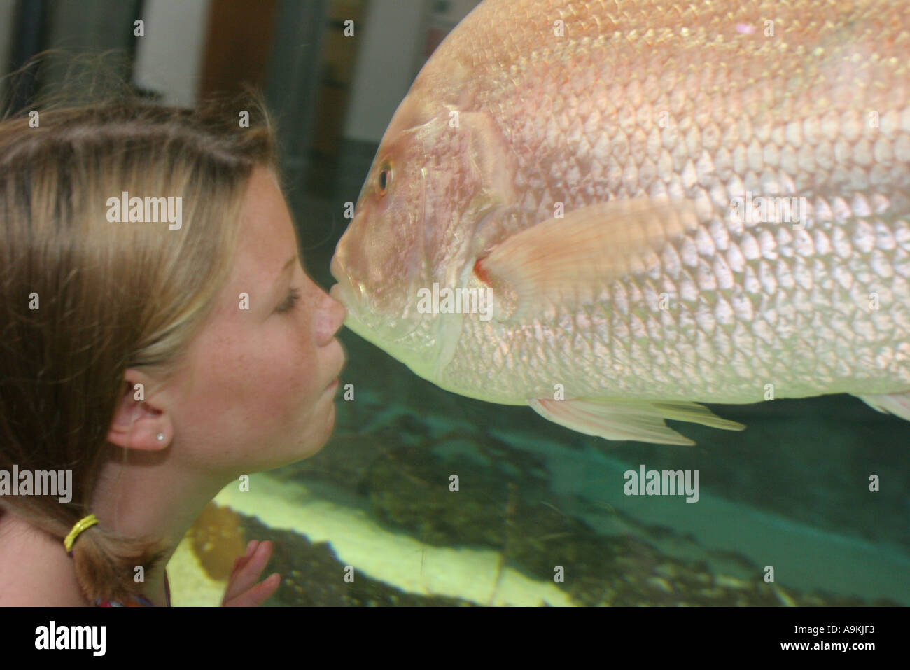 Alabama Dauphin Island,The Estuarium,public aquarium,estuary exhibit ...