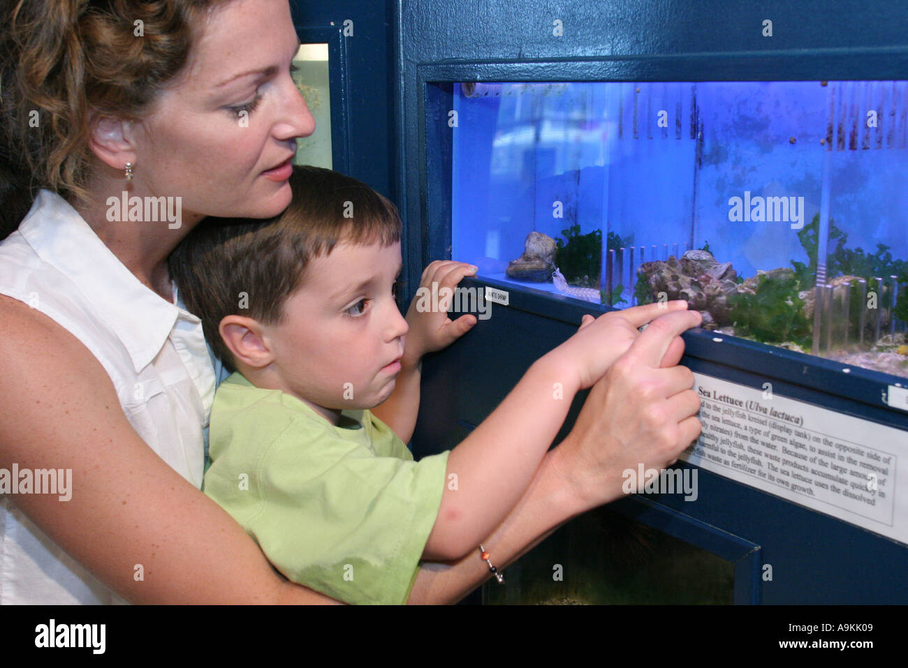 Estuary exhibit exhibition hi-res stock photography and images - Alamy