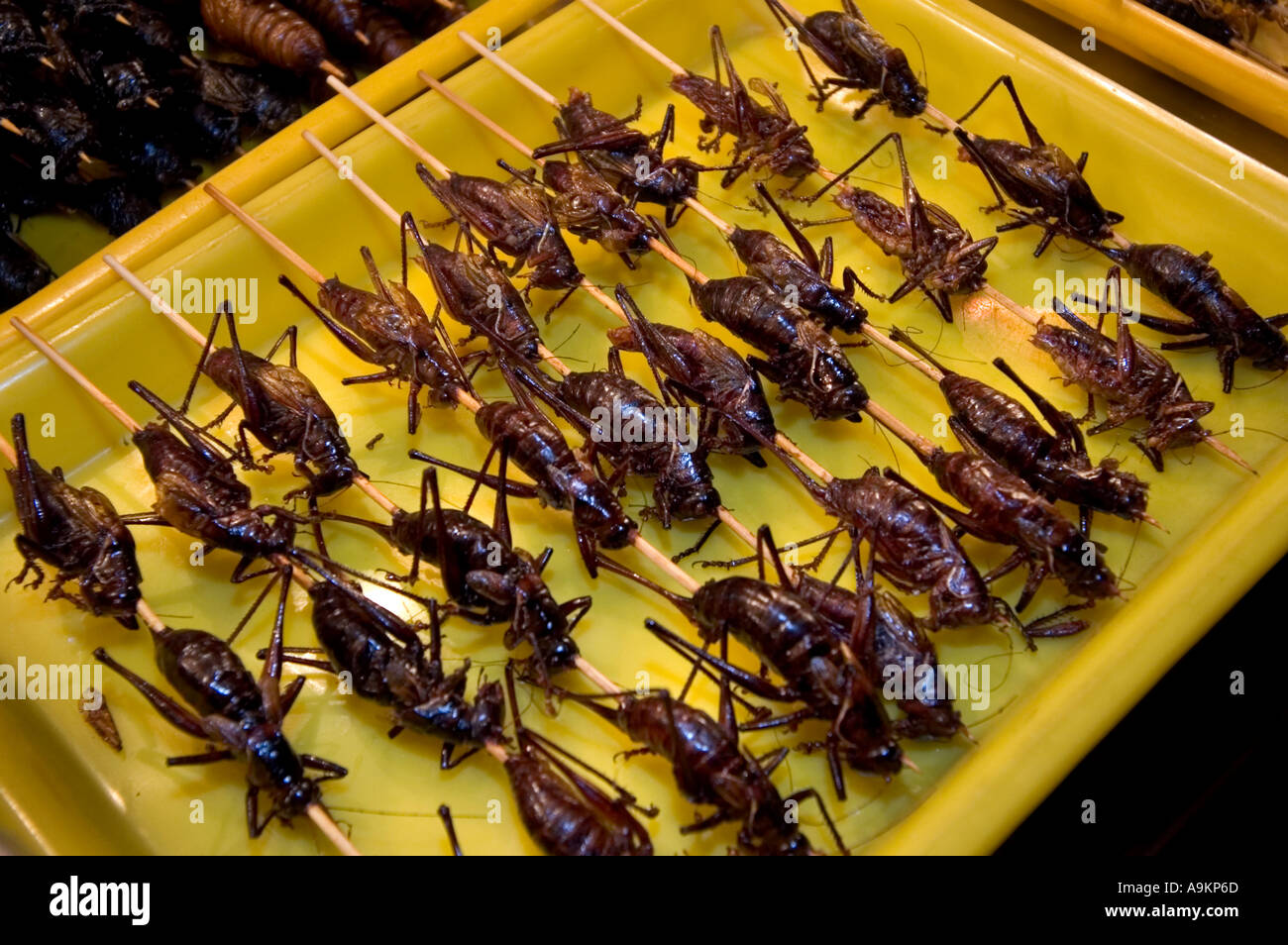 Strange delicacies hi-res stock photography and images - Alamy