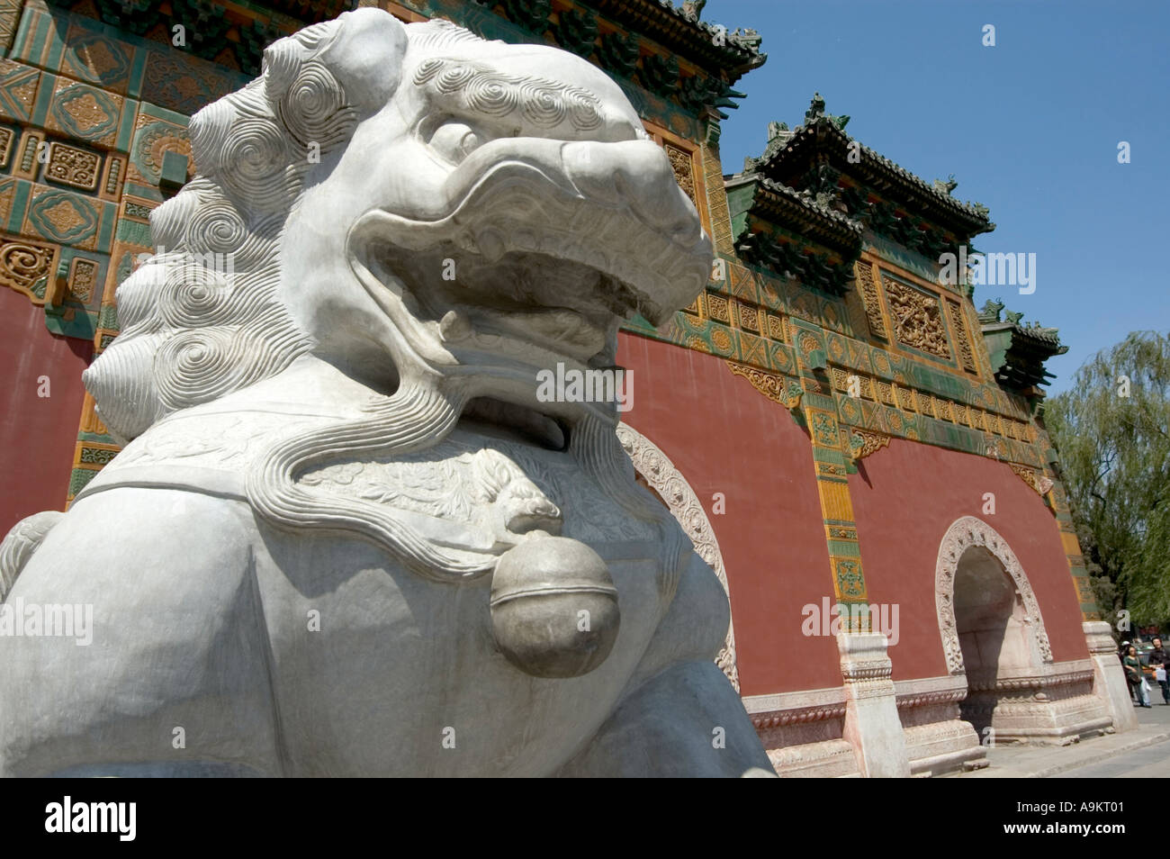 Chinese tiger in front of temple hi-res stock photography and images ...