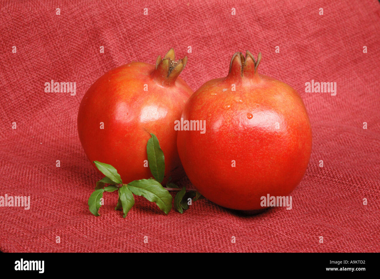 Dalim hi-res stock photography and images - Alamy
