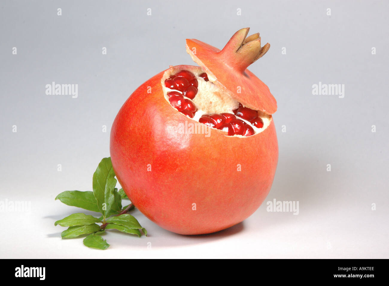 Healthy fruit pomegranate Dalim Punica granatum Linn Stock Photo - Alamy