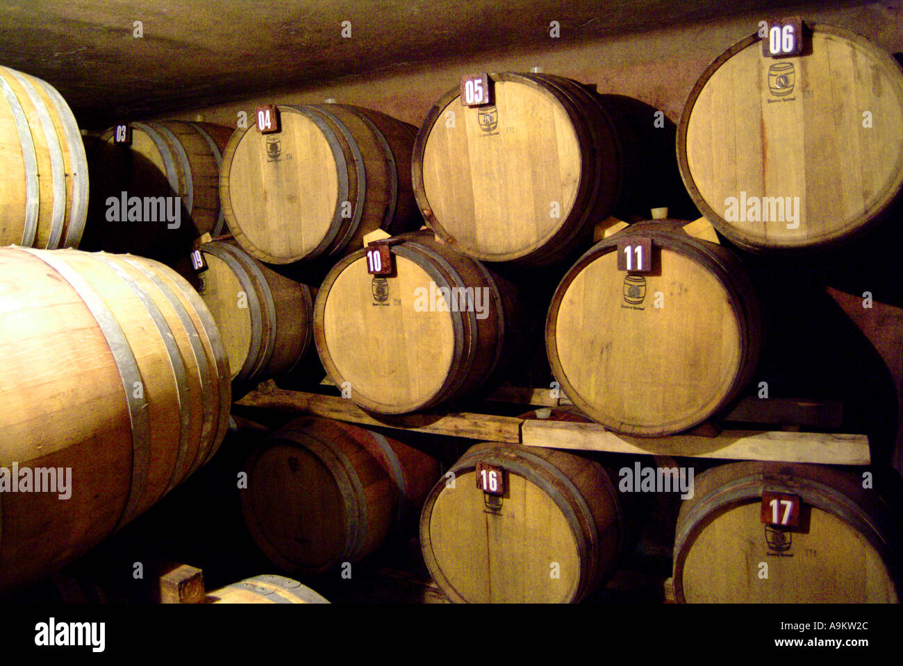 Winery wine barrel storage Mendoza Argentina Stock Photo - Alamy