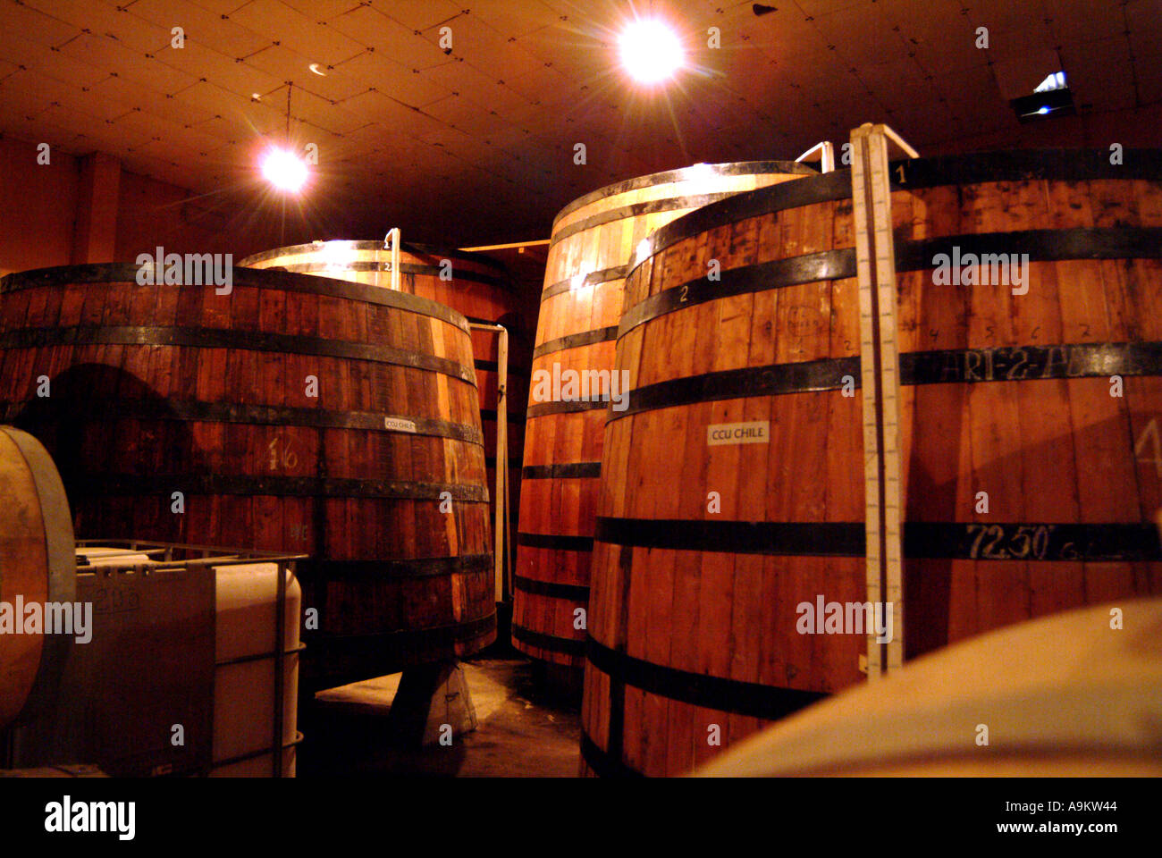 Tres Erres pisco winery barrel storage Elqui Chile Stock Photo - Alamy