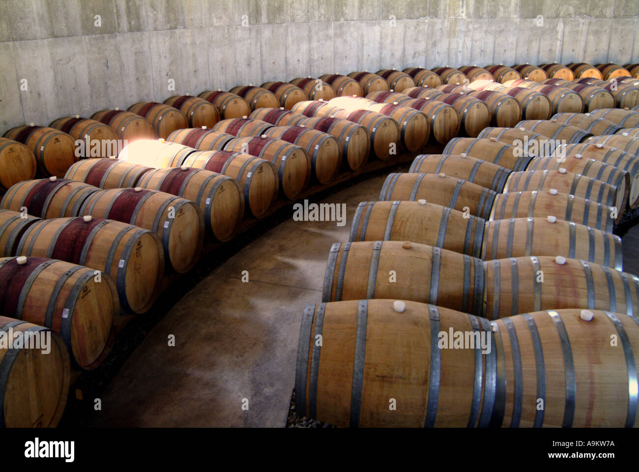 Tamaya Winery wine barrel storage Limari Valley Chile Stock Photo - Alamy