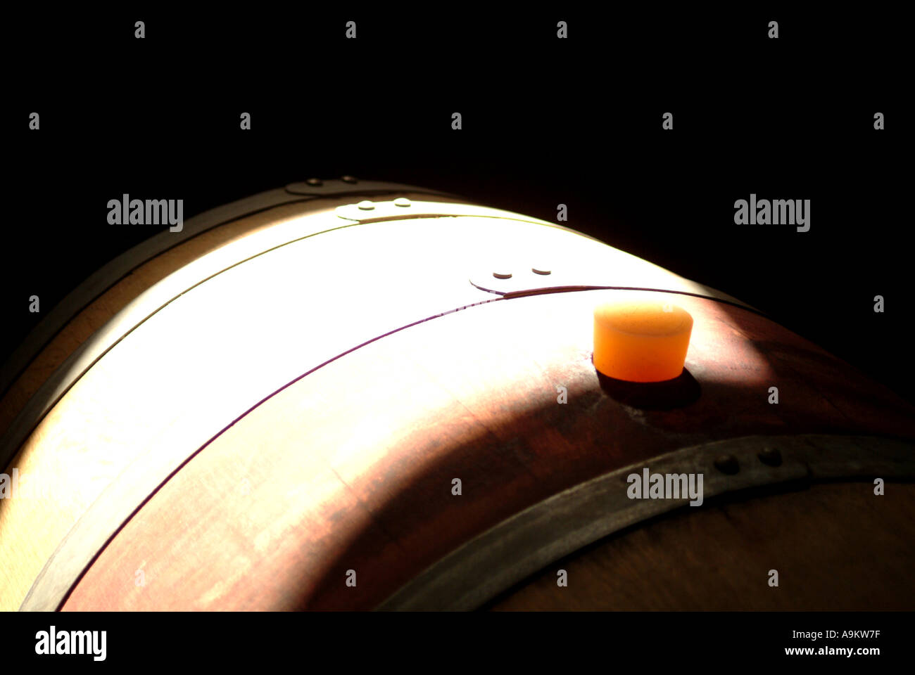 Tamaya Winery wine barrel and bung Limari Valley Chile Stock Photo - Alamy