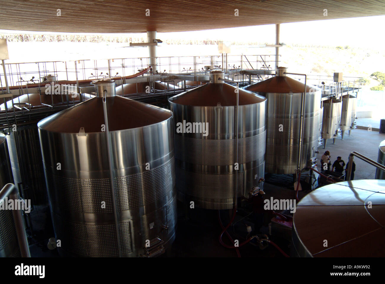 Tabili Winery stainless steel storage tanks Limari Valley Chile Stock ...