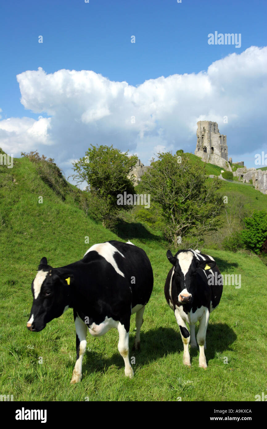 Corfe common history walk hi-res stock photography and images - Alamy