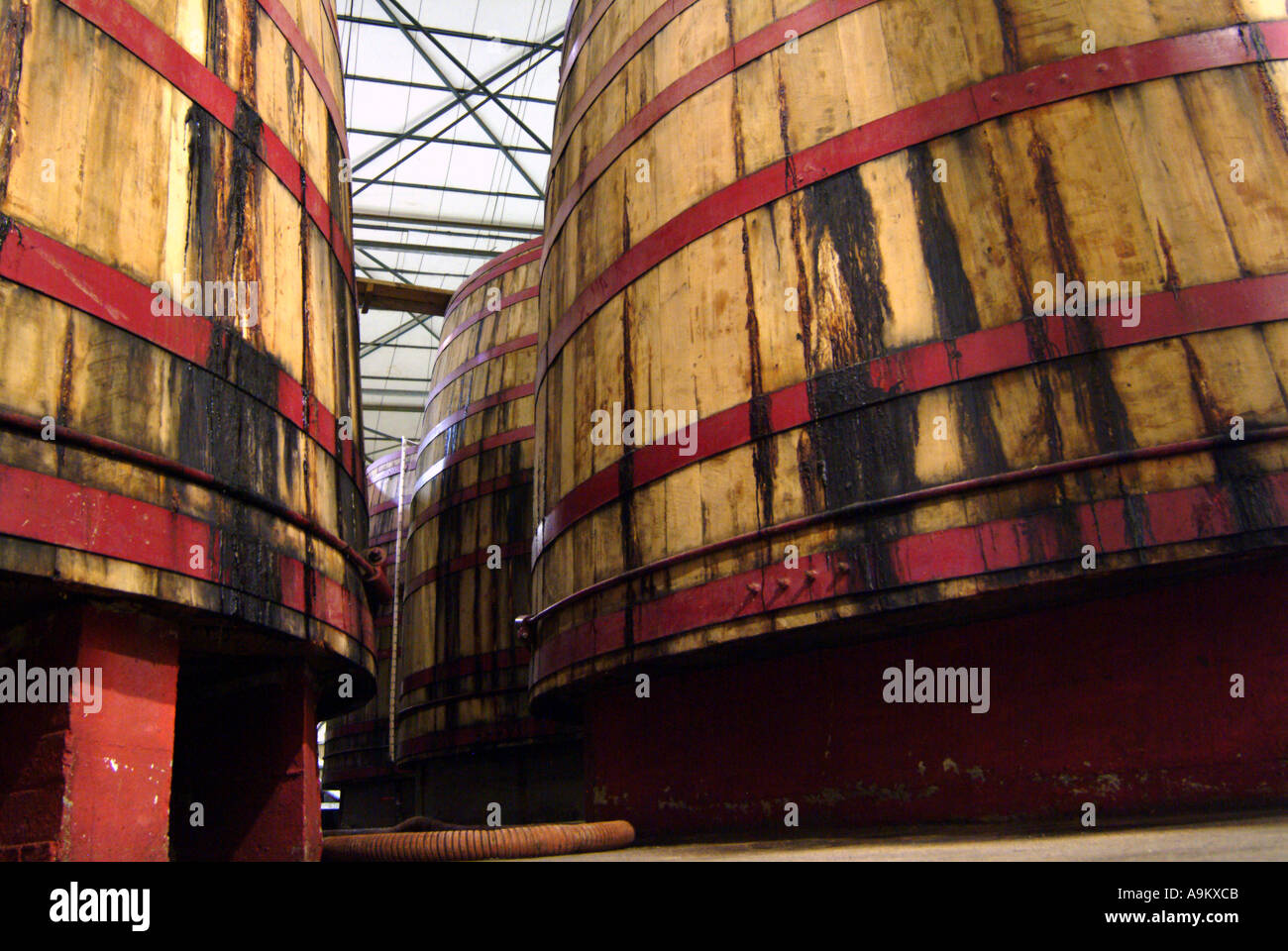 Capel Pisco winery barrels Vicuna Chile Stock Photo - Alamy