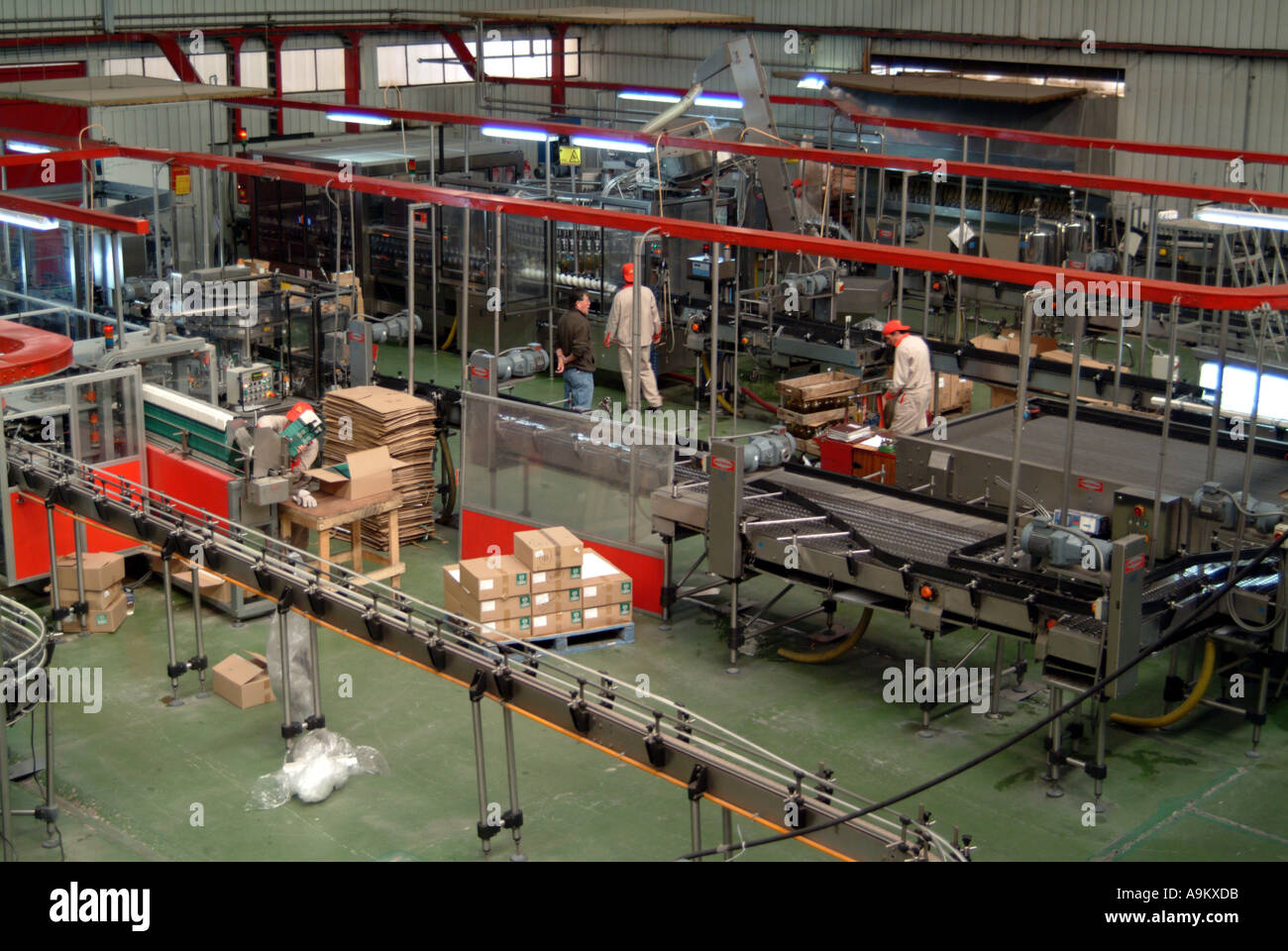 Capel Pisco winery bottling plant Vicuna Chile Stock Photo - Alamy