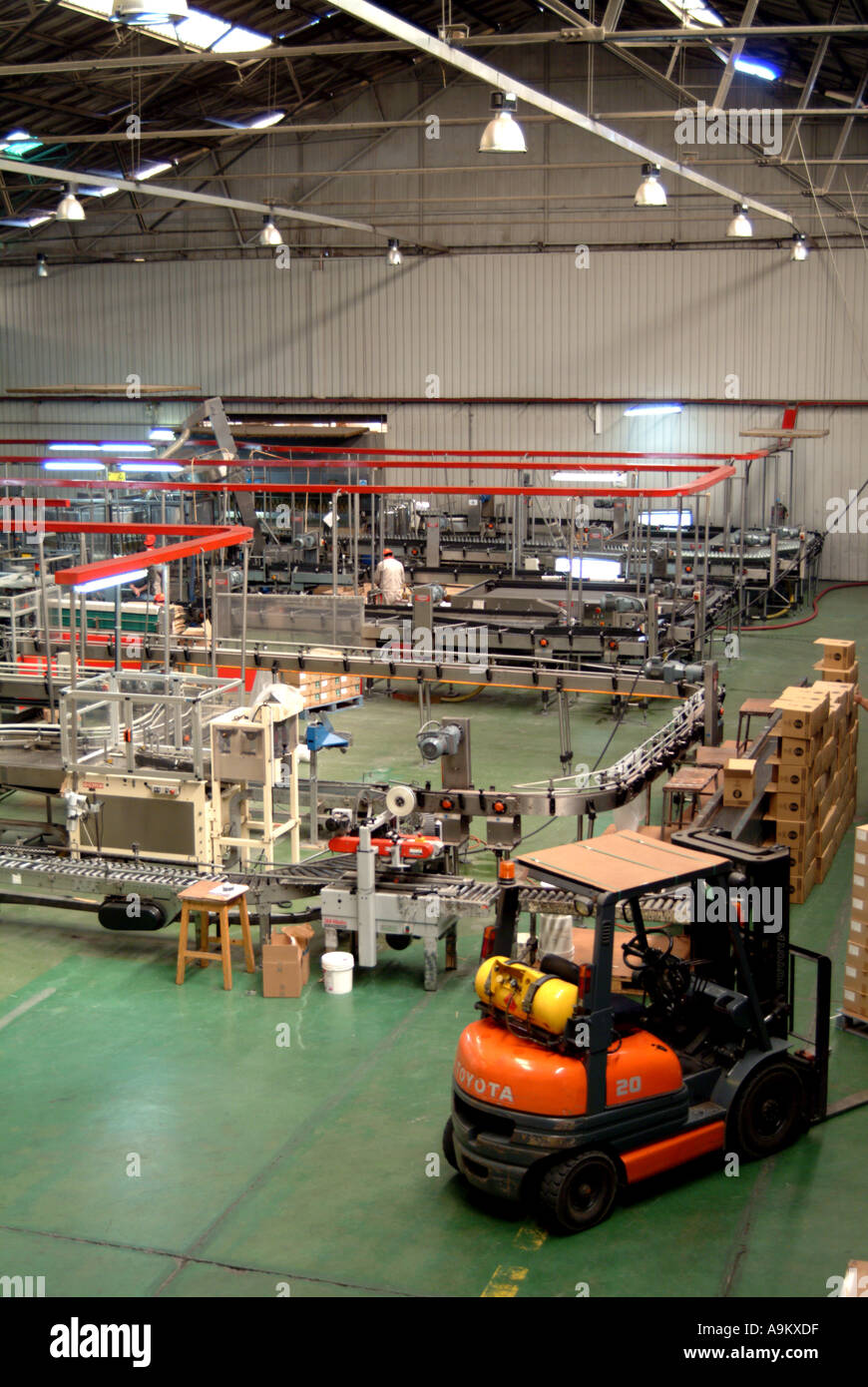 Capel Pisco winery bottling plant Vicuna Chile Stock Photo - Alamy