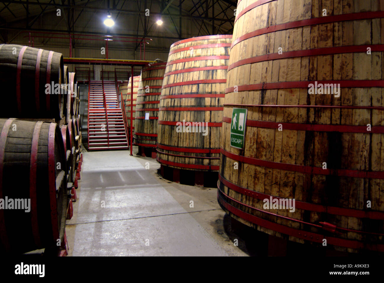 Pisco container hi-res stock photography and images - Alamy