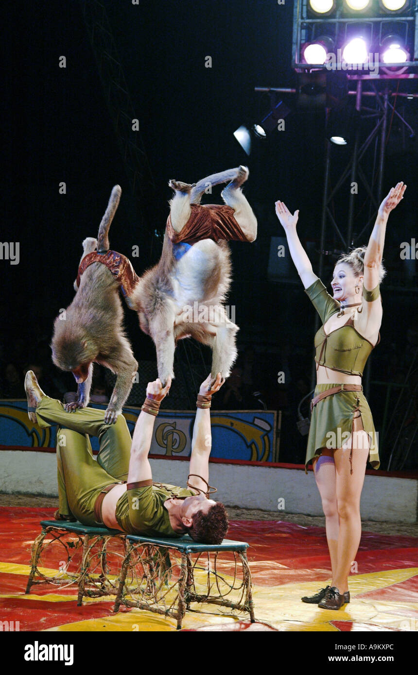 Circus with animals hi-res stock photography and images - Alamy