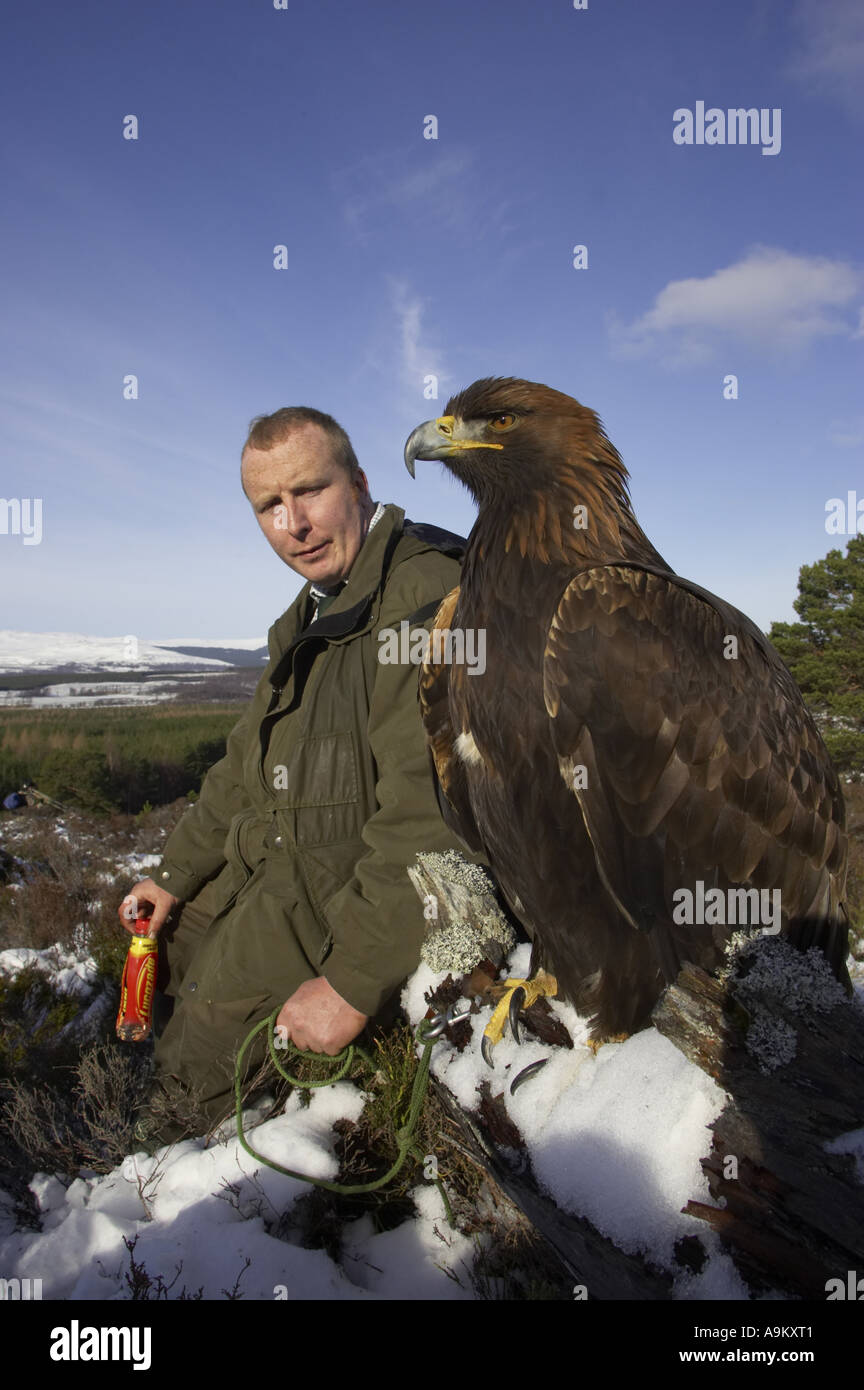 Eagle on hand hi-res stock photography and images - Alamy