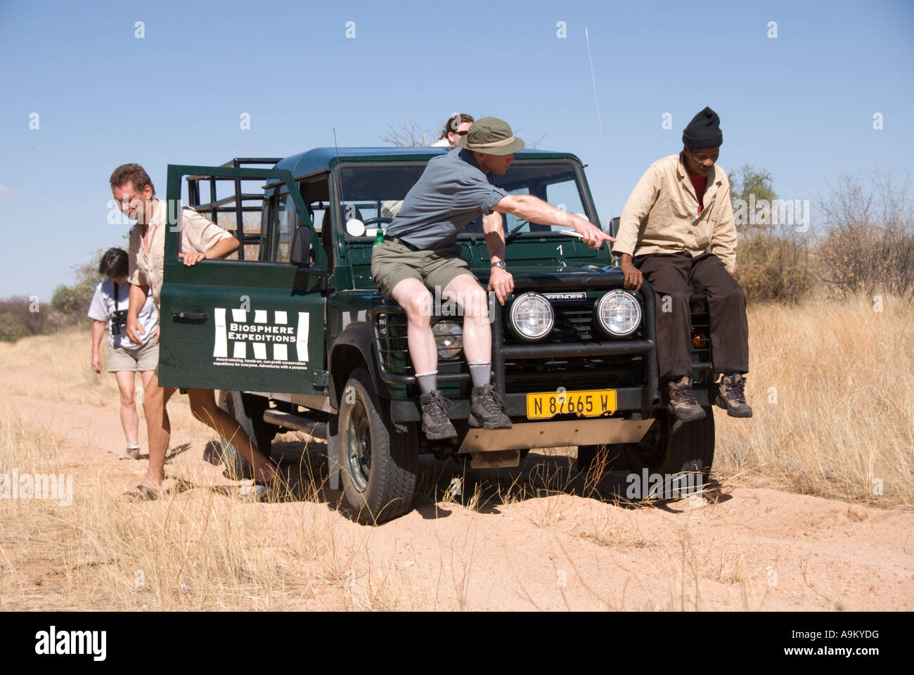Cheetah tribe hi-res stock photography and images - Alamy