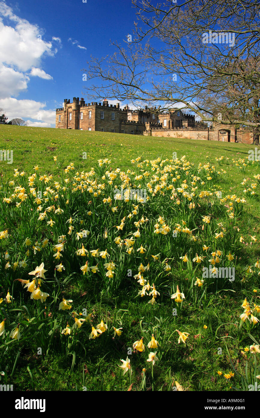 Daffodil time Skelton Castle Skelton in Cleveland Tees Valley England ...