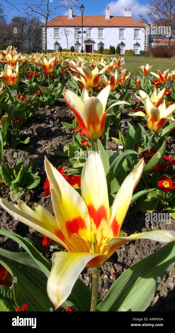 Shotton hall hi-res stock photography and images - Alamy